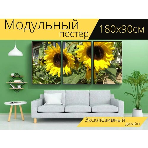 Модульный постер "Подсолнух, желтый, подсолнухи" 180 x 90 см. для интерьера