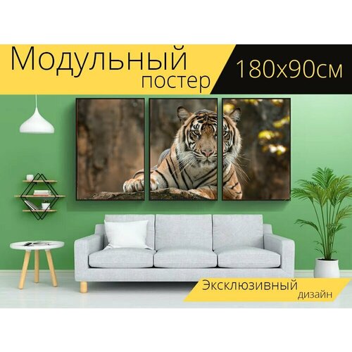 Модульный постер "Тигр, белый, цвет" 180 x 90 см. для интерьера
