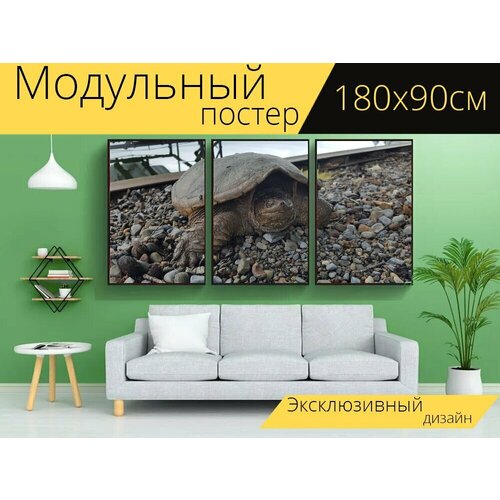 Модульный постер "Каймановая черепаха, озеро, черепаха" 180 x 90 см. для интерьера