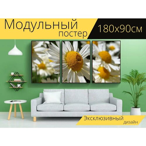 Модульный постер "Ромашки, цветы, белый" 180 x 90 см. для интерьера