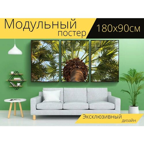 Модульный постер "Вербное воскресенье, пальма, афины" 180 x 90 см. для интерьера
