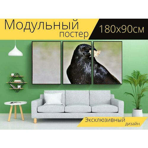 Модульный постер "Ворона, ворон, птица" 180 x 90 см. для интерьера