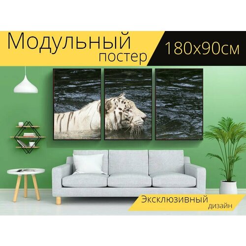 Модульный постер "Белый тигр, тигр, кошка" 180 x 90 см. для интерьера
