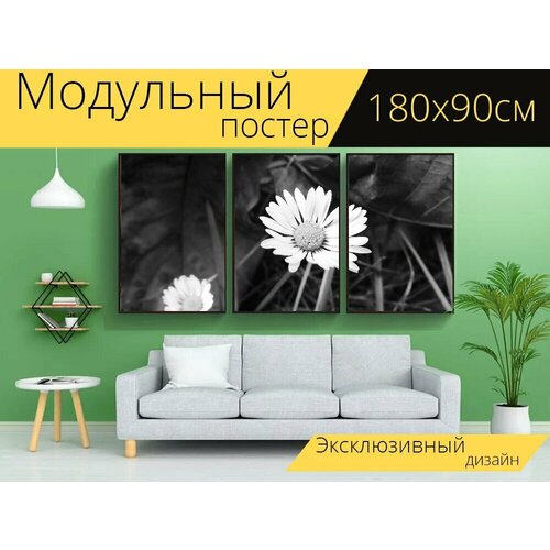 Модульный постер "Маргаритка, завод, черное и белое" 180 x 90 см. для интерьера