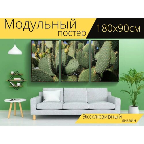 Модульный постер "Кактус, кактусы, зеленый" 180 x 90 см. для интерьера