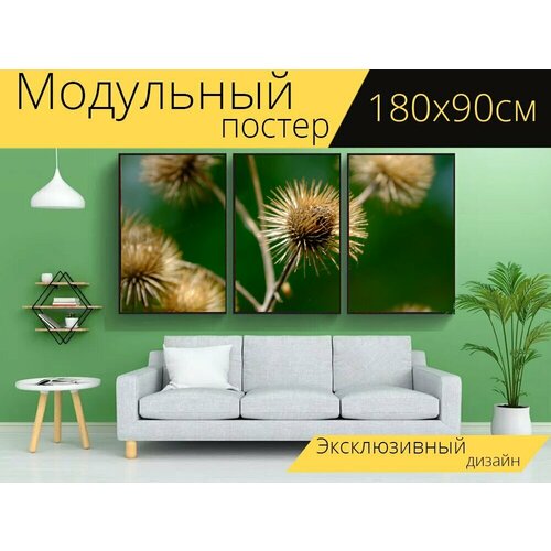 Модульный постер "Лопух, дикорастущее растение, блеклый" 180 x 90 см. для интерьера
