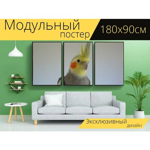 Модульный постер "Корелла, попугай, какаду" 180 x 90 см. для интерьера