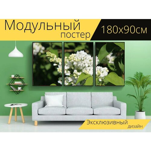 Модульный постер "Сирень, белая сирень, кустарник" 180 x 90 см. для интерьера