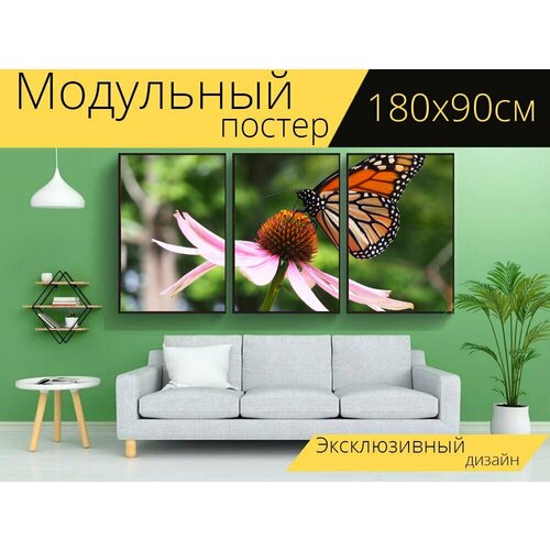 Модульный постер "Бабочка, эхина, цветок" 180 x 90 см. для интерьера