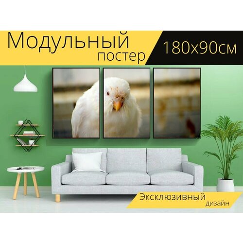 Модульный постер "Животные, попугай, волнистый попугайчик" 180 x 90 см. для интерьера