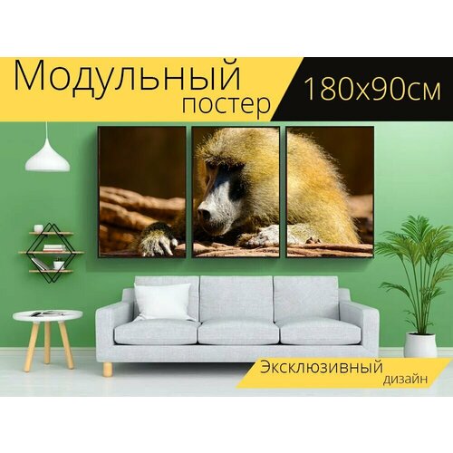 Модульный постер "Дикая природа, обезьяна, бабуин" 180 x 90 см. для интерьера
