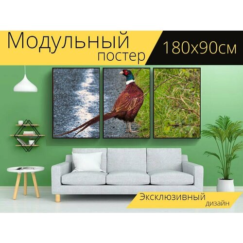 Модульный постер "Фазан, дорога, птица" 180 x 90 см. для интерьера