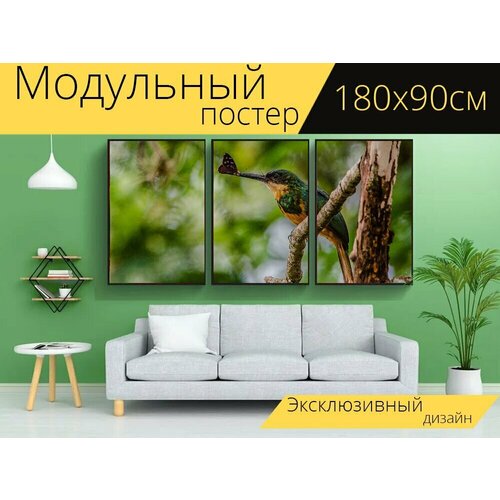Модульный постер "Птица, колибри, насекомоептица" 180 x 90 см. для интерьера