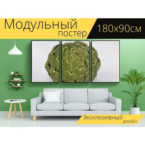 Модульный постер "Артишок, овощ, еда" 180 x 90 см. для интерьера