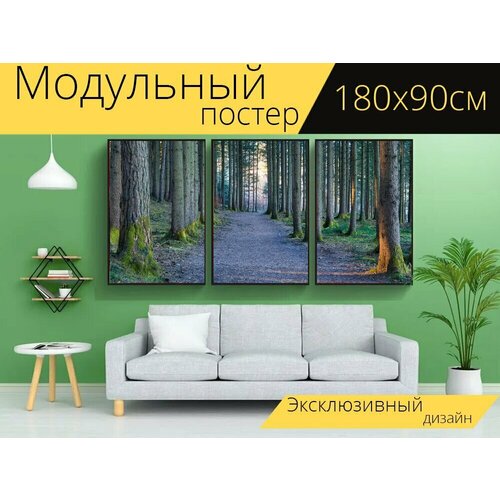 Модульный постер "Дорожка, лес, природа" 180 x 90 см. для интерьера