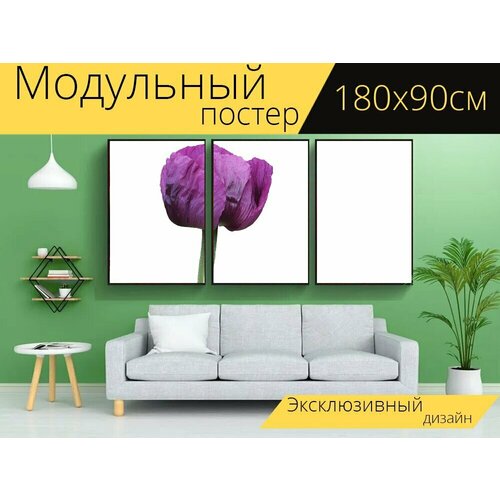 Модульный постер "Цветок, луг, мак" 180 x 90 см. для интерьера