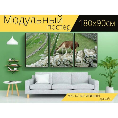 Модульный постер "Лама мачупикчу, двигаться, каменная лестница" 180 x 90 см. для интерьера