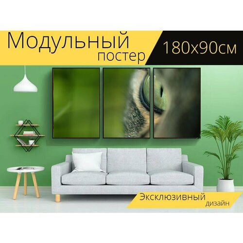 Модульный постер "Глаз кошки, кот, зеленый глаз" 180 x 90 см. для интерьера