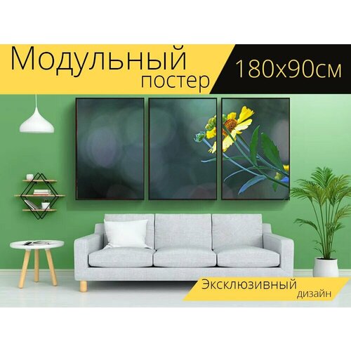 Модульный постер "Эхина, цветок, бутоны" 180 x 90 см. для интерьера