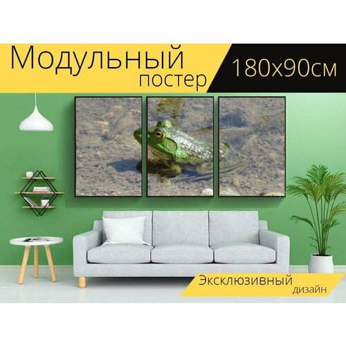 Модульный постер "Зеленый, лягушка, пруд" 180 x 90 см. для интерьера
