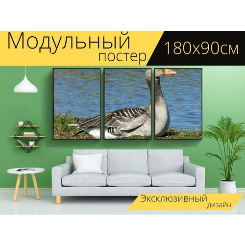 Модульный постер "Гусь, птица, животное" 180 x 90 см. для интерьера