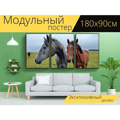 Модульный постер "Лошадь, лошадиная голова, связь" 180 x 90 см. для интерьера