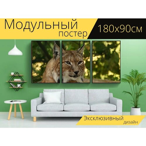 Модульный постер "Рысь, животное, большой кот" 180 x 90 см. для интерьера