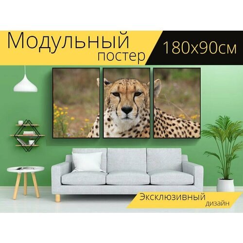 Модульный постер "Гепард, хищник, дикое животное" 180 x 90 см. для интерьера