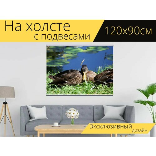 Картина на холсте "Утка, вода, природа" с подвесами 120х90 см. для интерьера