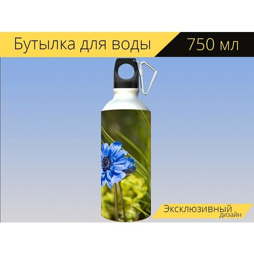 Бутылка фляга для воды "Анемон, синий, синий анемон" 750 мл. с карабином и принтом