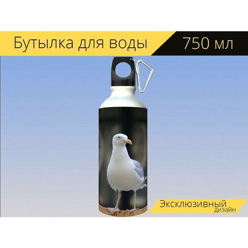 Бутылка фляга для воды "Чайка, птицы, крики" 750 мл. с карабином и принтом