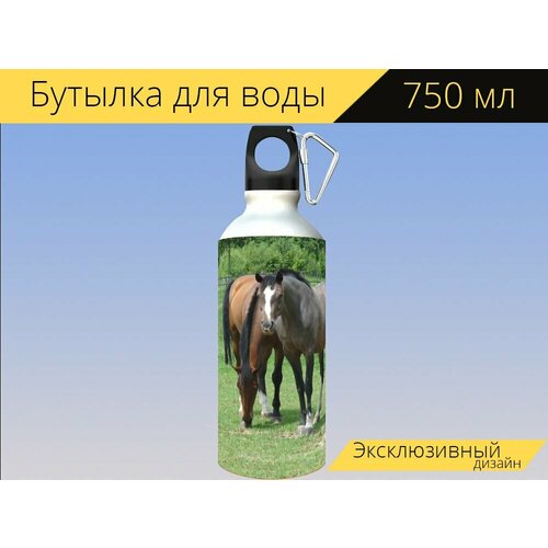 Бутылка фляга для воды "Лошадь, лошади, животные" 750 мл. с карабином и принтом