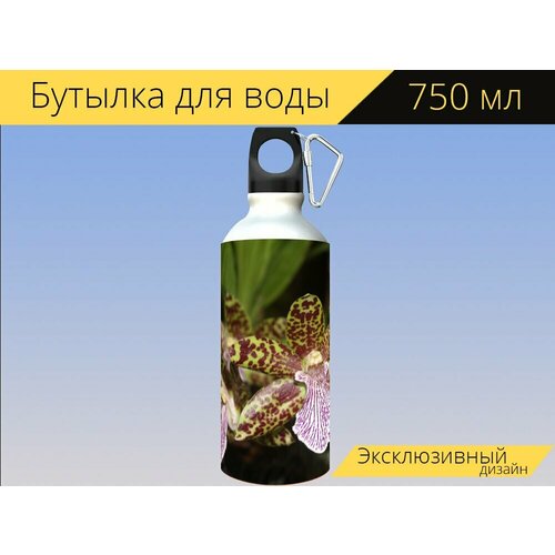 Бутылка фляга для воды "Орхидея, цветок, яркий" 750 мл. с карабином и принтом