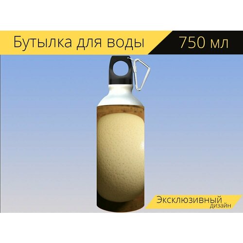 Бутылка фляга для воды "Страусиное яйцо, оболочка, яйцо" 750 мл. с карабином и принтом