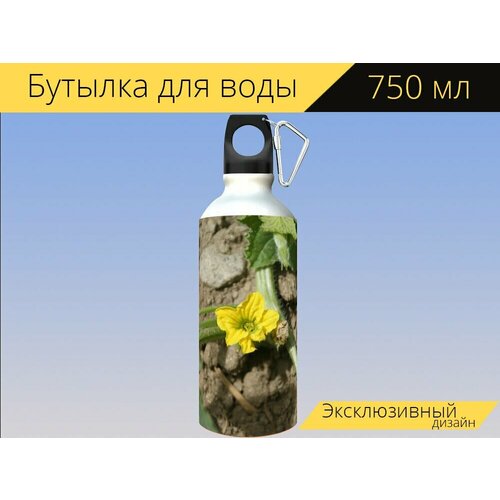 Бутылка фляга для воды "Цветок дыни, цветок, завод" 750 мл. с карабином и принтом