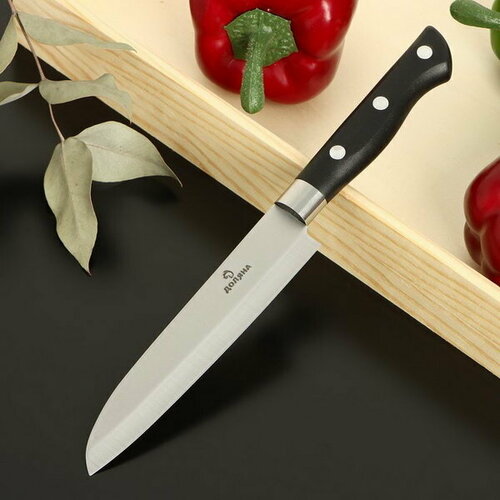 Нож кухонный "Кронос", лезвие 13.5 см