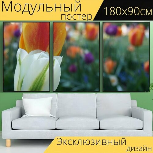 Модульный постер "Цветок, луг, весна" 180 x 90 см. для интерьера