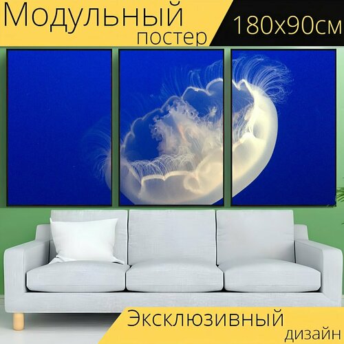 Модульный постер "Медуза, аквариум, морской жизни" 180 x 90 см. для интерьера