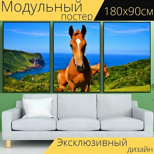 Модульный постер "Острова оки, япония, лошади" 180 x 90 см. для интерьера