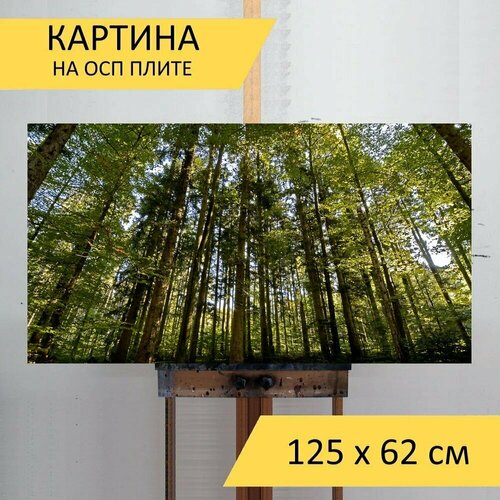 Картина на ОСП 125х62 см. "Деревья, лес, природа" горизонтальная, для интерьера, с креплениями