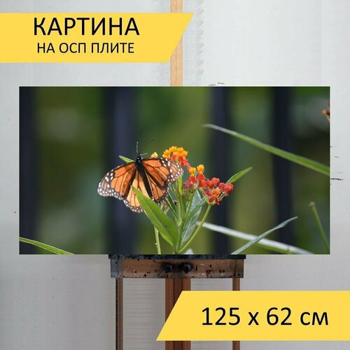 Картина на ОСП 125х62 см. "Бабочка, природа, цветок" горизонтальная, для интерьера, с креплениями