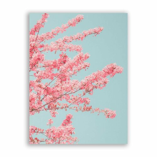Постер цветы на бумаге / Сакура / Размер 40 x 53 см