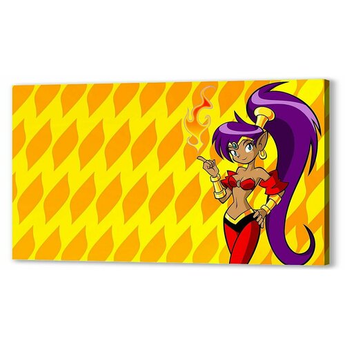 Плакат, постер на бумаге Shantae: Riskys Revenge. Размер 60 х 84 см