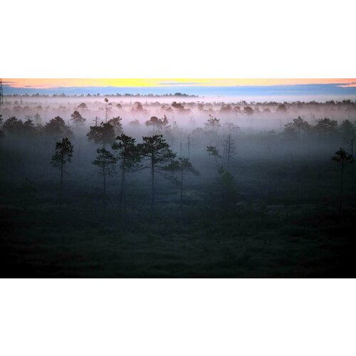 Картина на холсте 60x110 Альянс Лес "Утро туман лес" на подрамнике / интерьер/ декор