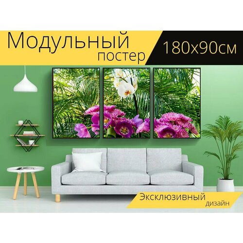 Модульный постер "Орхидея, белый, фиолетовый" 180 x 90 см. для интерьера