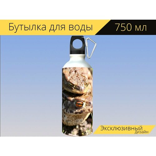 Бутылка фляга для воды "Лягушка, жабы, весна" 750 мл. с карабином и принтом
