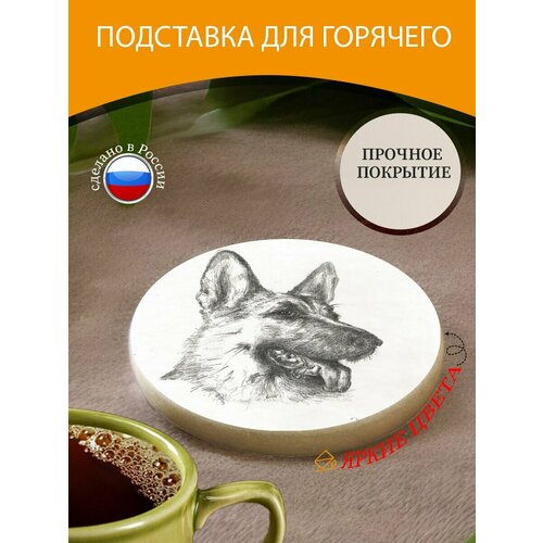 Подставка под горячее "Рисование, собака, немецкая овчарка" 10 см. из блого мрамора