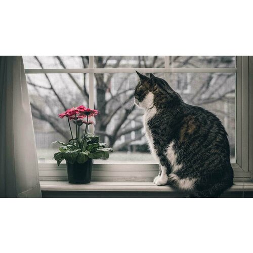 Картина на холсте 60x110 LinxOne "Серый кот и цветок на" интерьерная для дома / на стену / на кухню / с подрамником