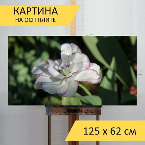 Картина на ОСП 125х62 см. "Тюльпан, белый тюльпан, романтичный" горизонтальная, для интерьера, с креплениями