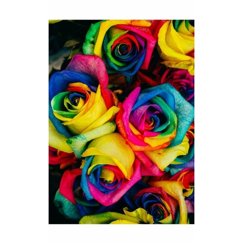 Плакат, постер на холсте Разноцветные бутоны роз. Размер 30 х 42 см